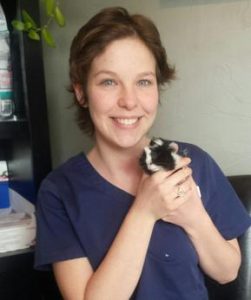 Team - Ark Veterinary Practice