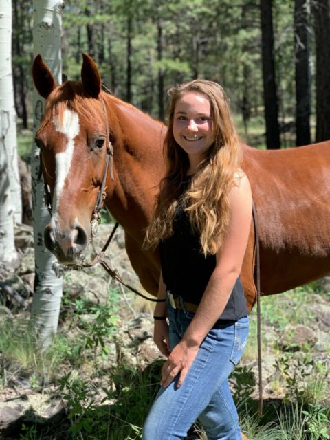 Team - Ark Veterinary Practice